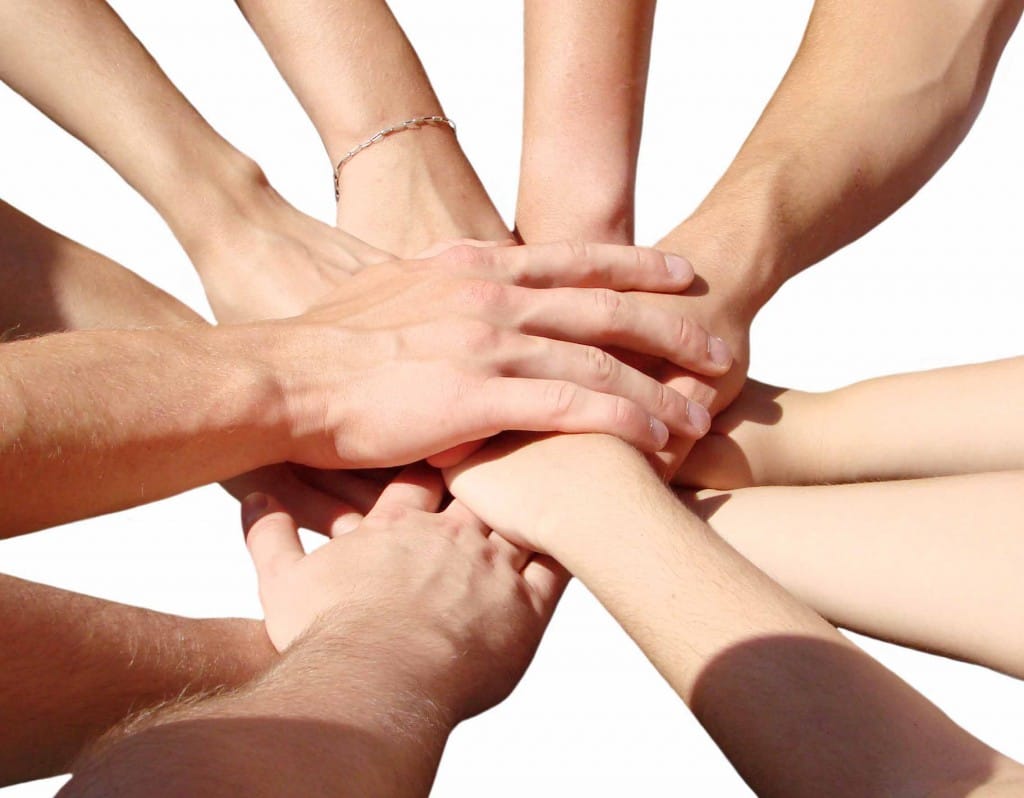 união faz a força - temas para treinamentos de manipuladores de ...